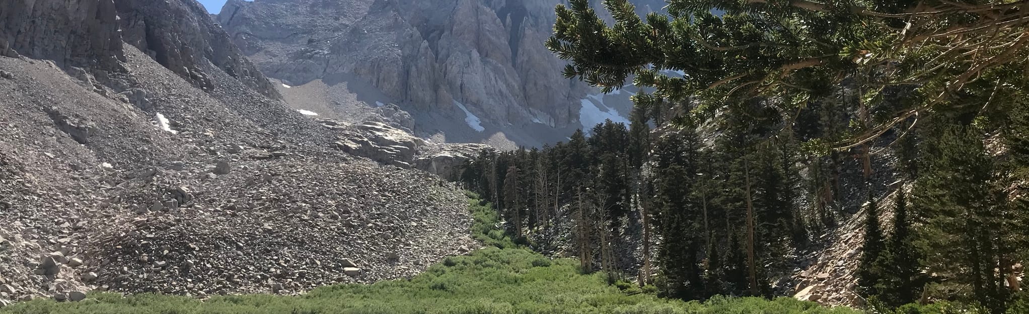 Red Lake Trail, California - 42 Reviews, Map | AllTrails