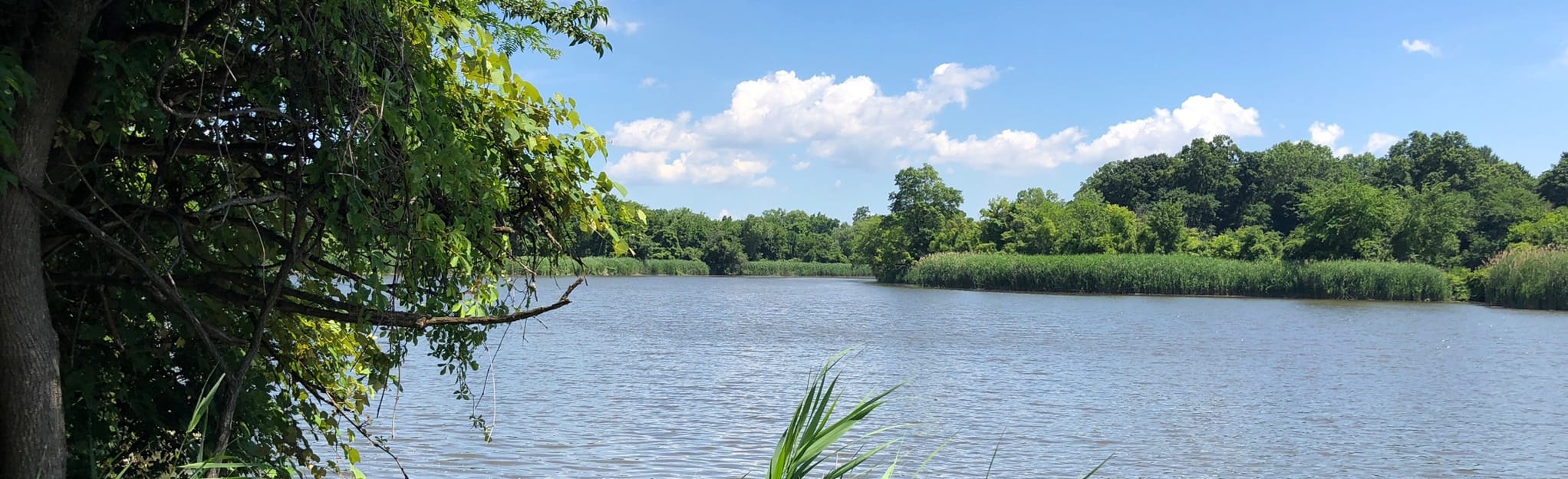 Hackensack River County Park Trail, New Jersey - 45 Reviews, Map ...