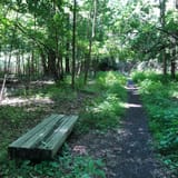 Hackensack River County Park Trail, New Jersey - 53 Reviews, Map ...