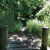 Hackensack River County Park Trail, New Jersey - 53 Reviews, Map ...