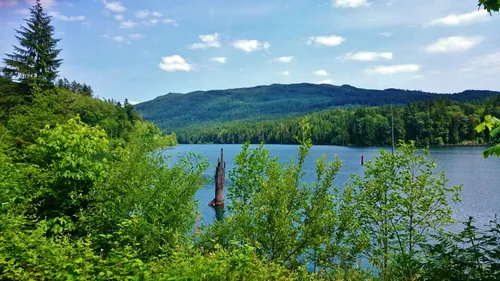 Best Hikes and Trails in Hayward Lake Recreation Area | AllTrails