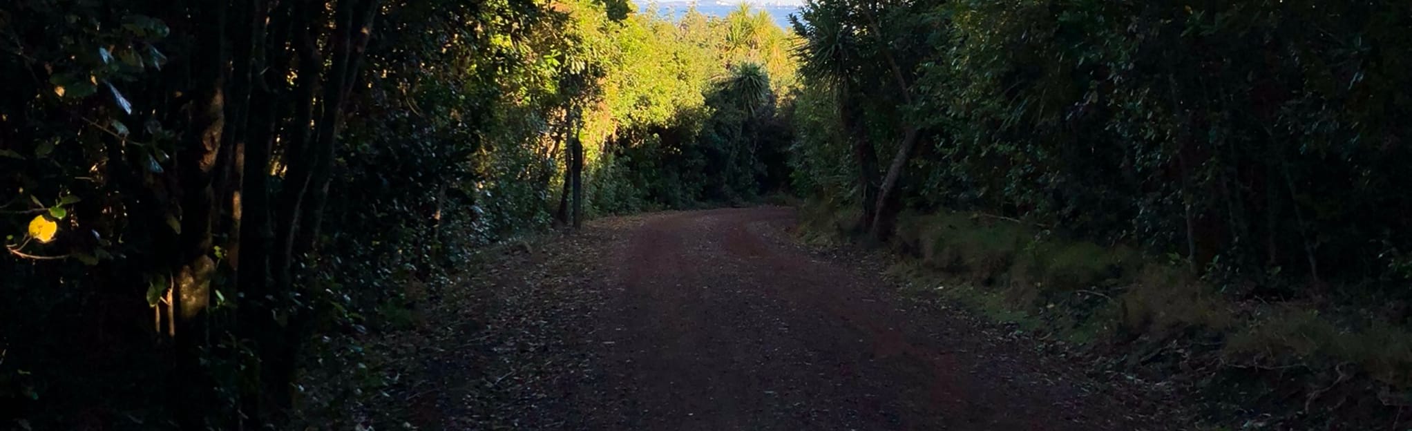 Tiritiri Matangi: Wattle Track: 6 Reviews, Map - Auckland, New Zealand ...