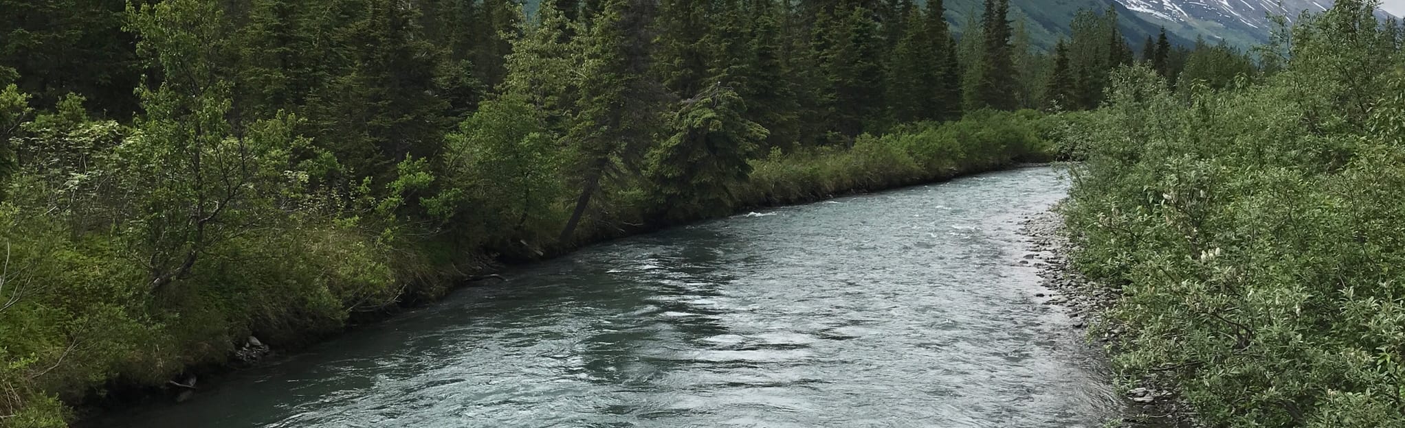 Johnson Pass Trail to Bridge: 38 foto - Alaska | AllTrails