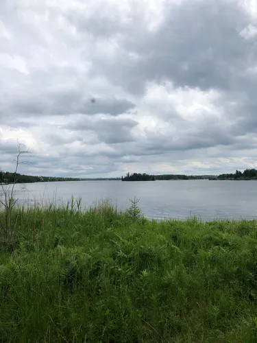 Best Trail Running Trails in Pinawa's Trans Canada Trails | AllTrails