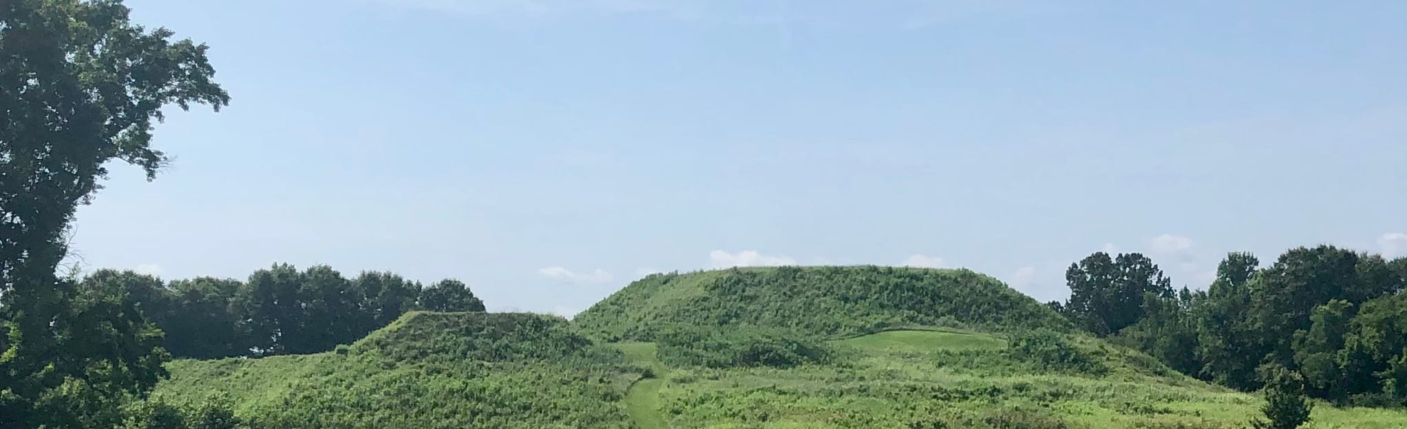 Funeral Mound Loop: 12 Reviews, Map - Georgia | AllTrails