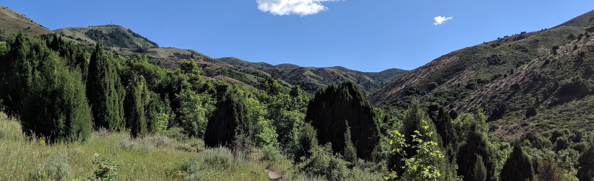 City Creek Loop: 167 Reviews, Map - Idaho | AllTrails