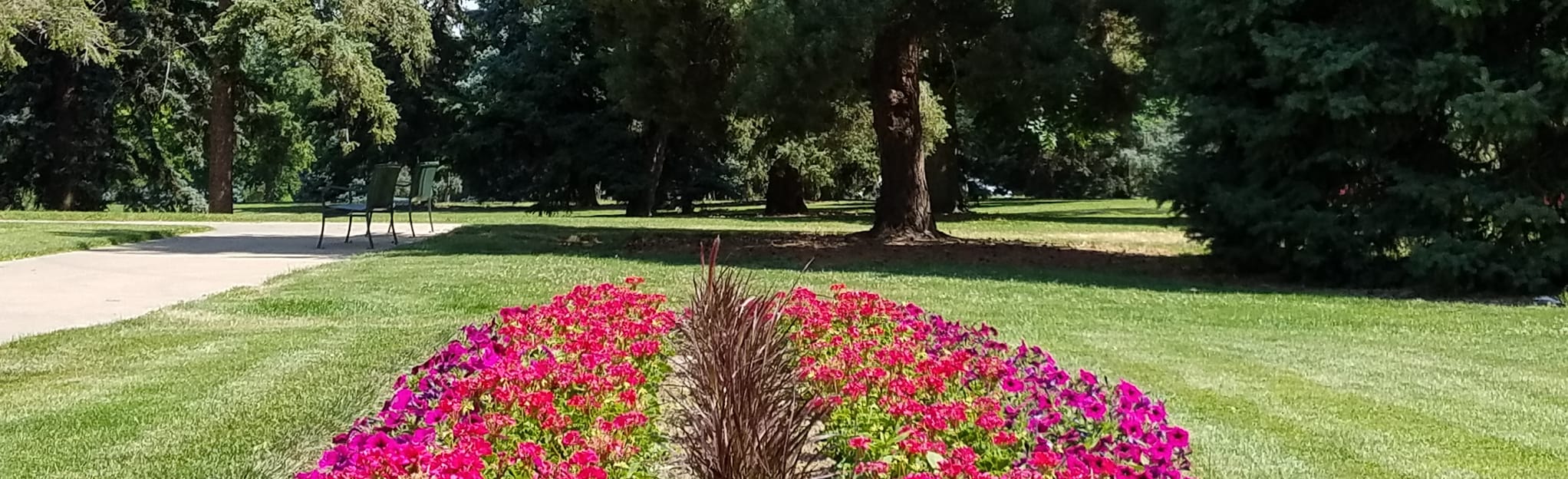 Cheesman Park Outer Loop, Colorado - 769 Reviews, Map | AllTrails