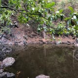 Bouldercombe Gorge Falls , Queensland, Australia - 48 Reviews, Map ...