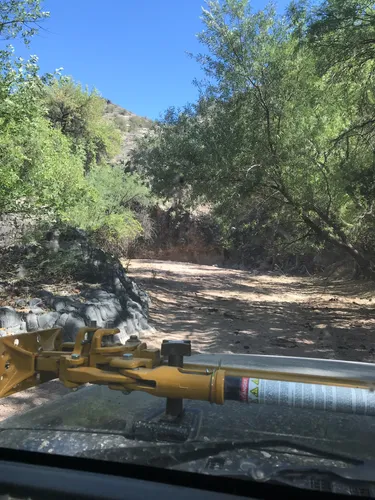 10 Best Moderate Trails in Black Canyon City | AllTrails