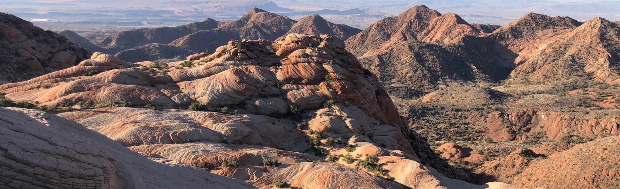 Yant Flats Trail, Utah - 1,100 Reviews, Map | AllTrails