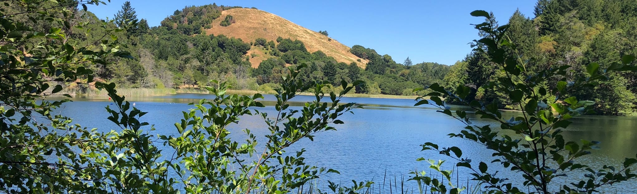 Lakeview Fire Road, Northside, Collier and Lagunitas Loop: 82 Reviews ...