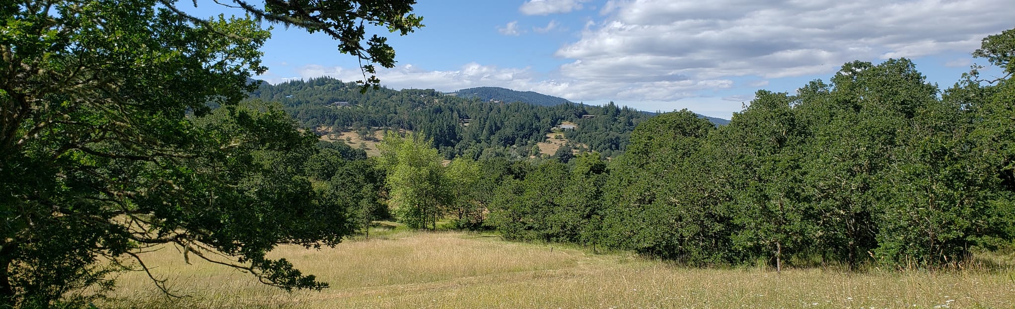 Bald Hill via Midge Cramer Path and Bald Hill Loop - Oregon | AllTrails