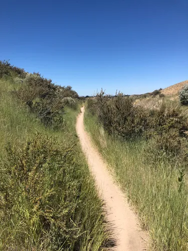 10 Best Trail Running Trails in Boise | AllTrails