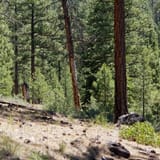Hager Mountain Lookout via 160 Trail, Oregon - 71 Reviews, Map | AllTrails