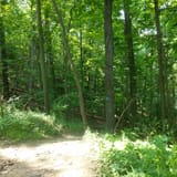 Lucien Morin Park to Irondequoit Bay via Irondequoit Creek, New York ...