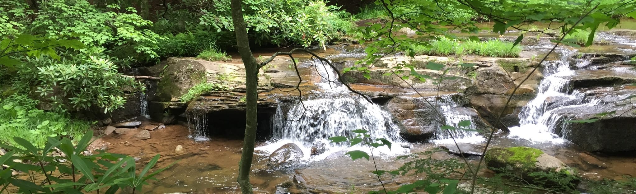 Huckleberry and Seneca Creek Trail: 1.213 foto's - West Virginia ...