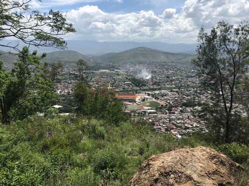 Las 10 mejores rutas por bosque en Oaxaca en 2023 | AllTrails