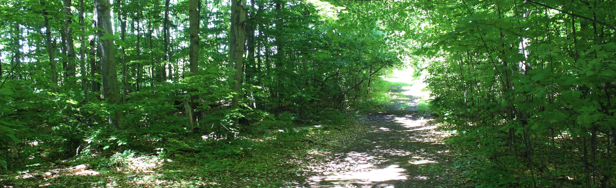 Williamson Bicentennial Trail Loop: 18 foto's - New York | Wandelen ...