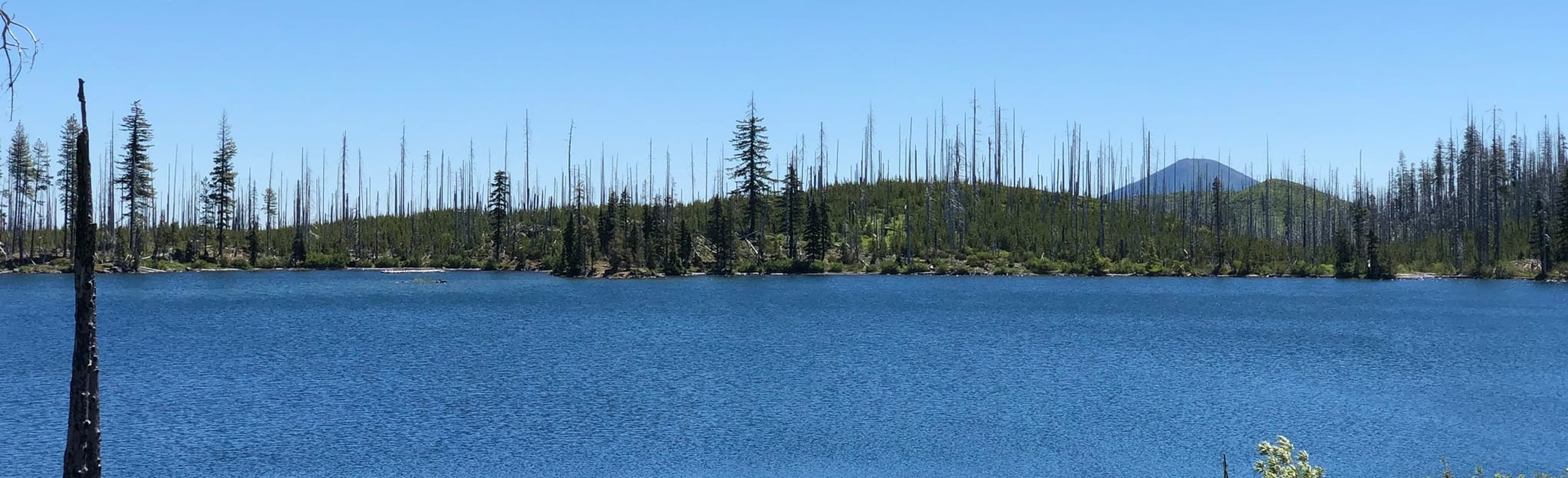 Santiam Summit to Square Lake and Round Lake Trail, Oregon - 26 Reviews ...