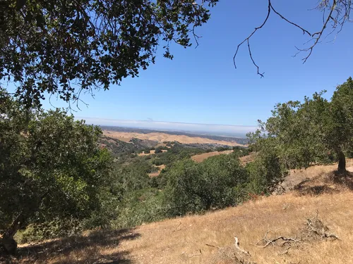 10 Best Hikes and Trails in Toro Regional Park | AllTrails