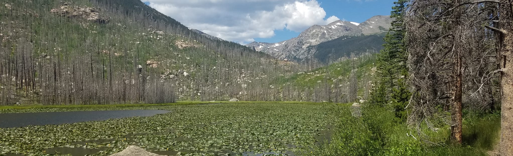 Cub Lake via Hollowell Park, Mill Creek Basin, and Moraine Park Loop ...