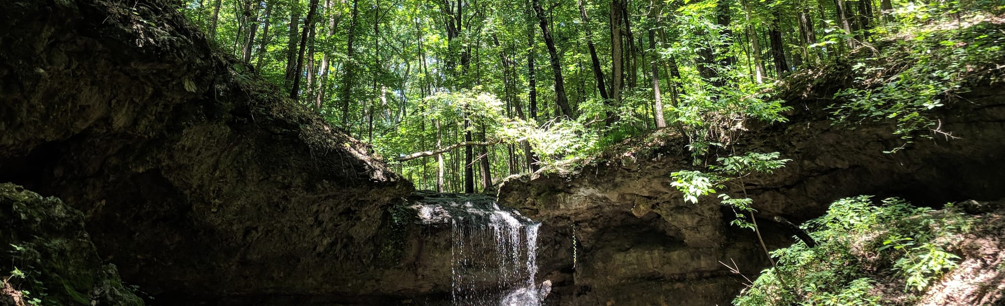 Olin Nature Preserve Beaver Trail: 1.133 foto - Illinois | AllTrails