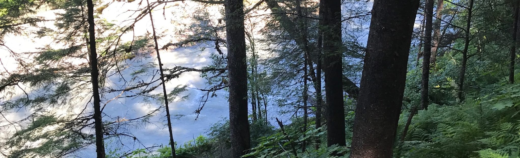 Lemon Creek: 44 Reviews, Map - Alaska | AllTrails