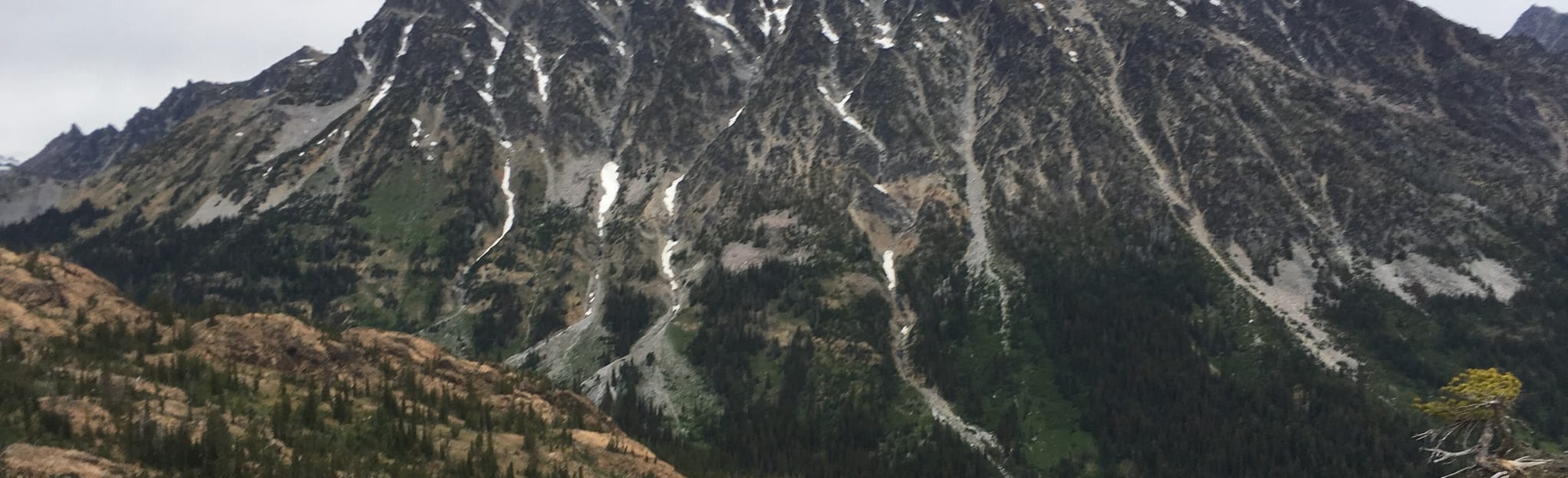 Mount Stuart via Ingalls Way Trail: 109 Reviews, Map - Washington ...