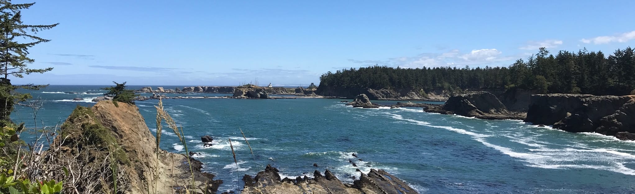 Cape Arago Loop Trail, Oregon - 248 Reviews, Map | AllTrails