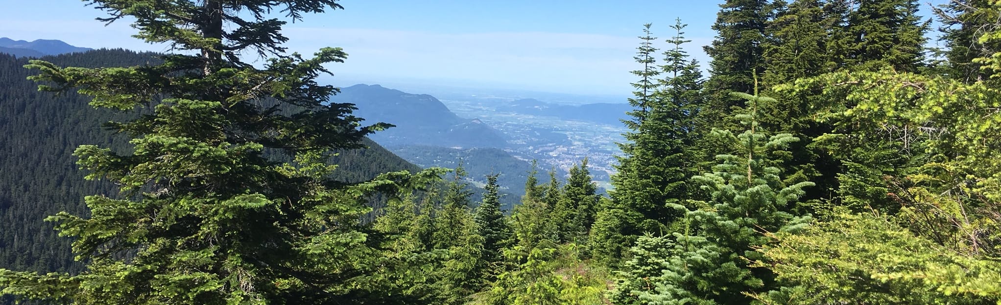 Gloria Trail : 187 Reviews, Map - British Columbia, Canada | AllTrails