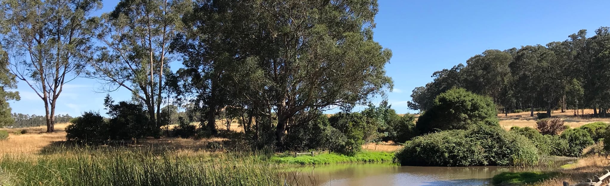 Bay View, Point Pinole, and Cooks Point Loop: 2082 Reviews, Map ...