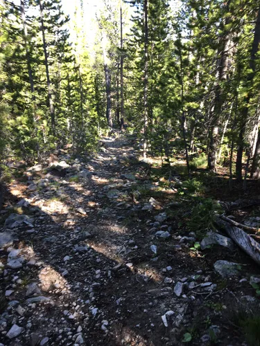 10 Best Hikes and Trails in Anaconda Pintler Wilderness | AllTrails