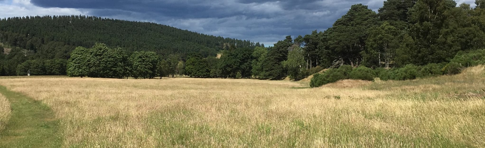 Glen Tanar Short Circular: 76 Reviews, Map - Aberdeenshire, Scotland ...