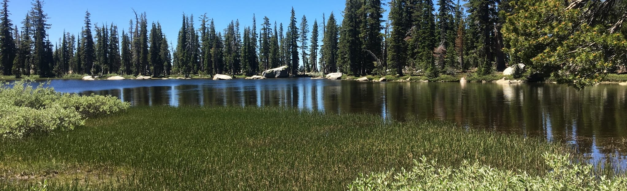 Lawrence Lake via Red Peak Trail: 11 Reviews, Map - California | AllTrails