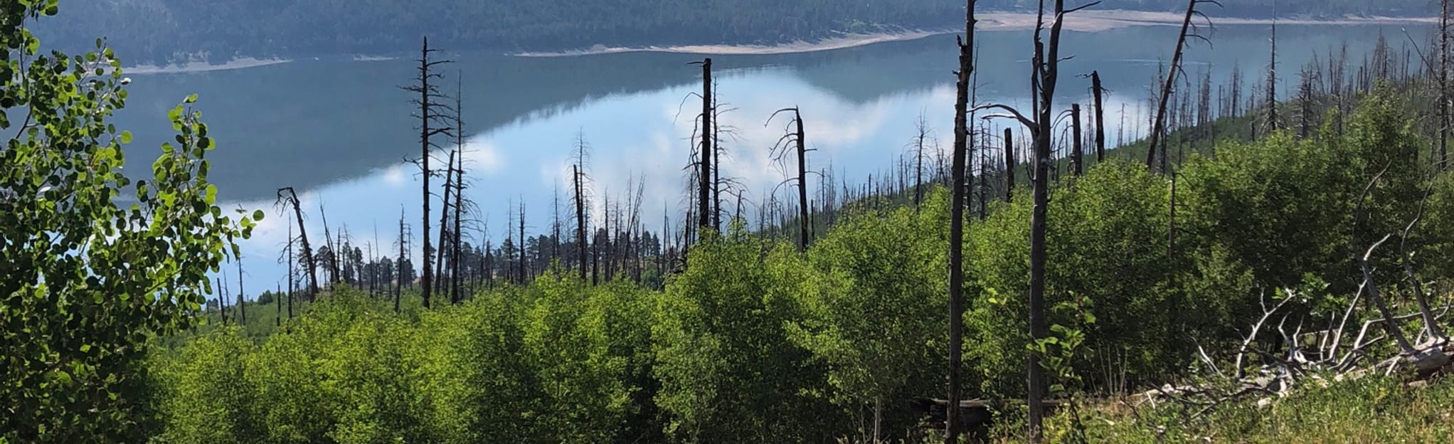 Freeman Meadow via Endlich Mesa Trail, Colorado - 21 Reviews, Map ...