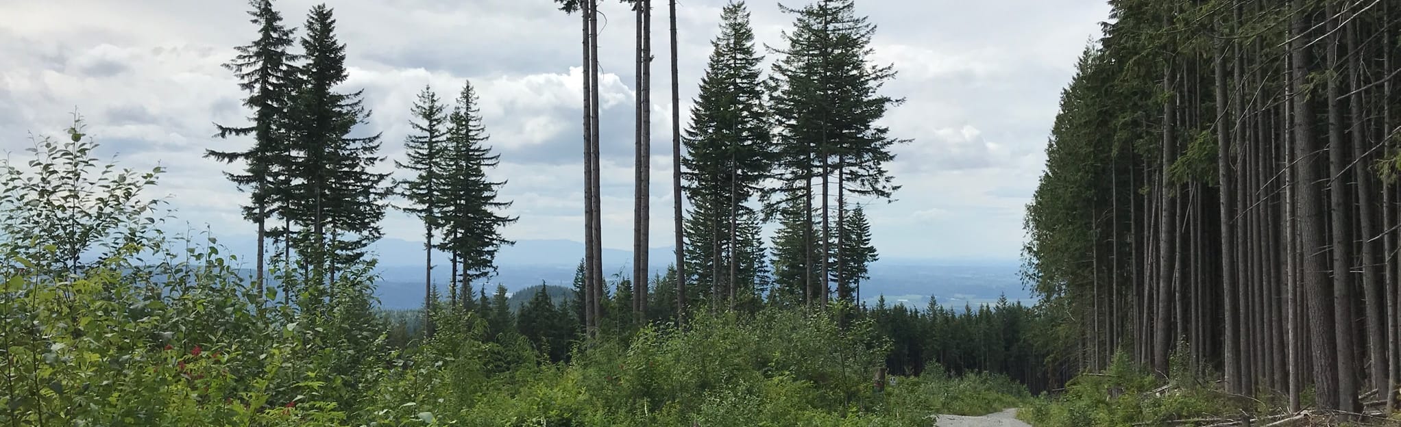 Skidder and PBR Loop, British Columbia, Canada - 88 Reviews, Map ...