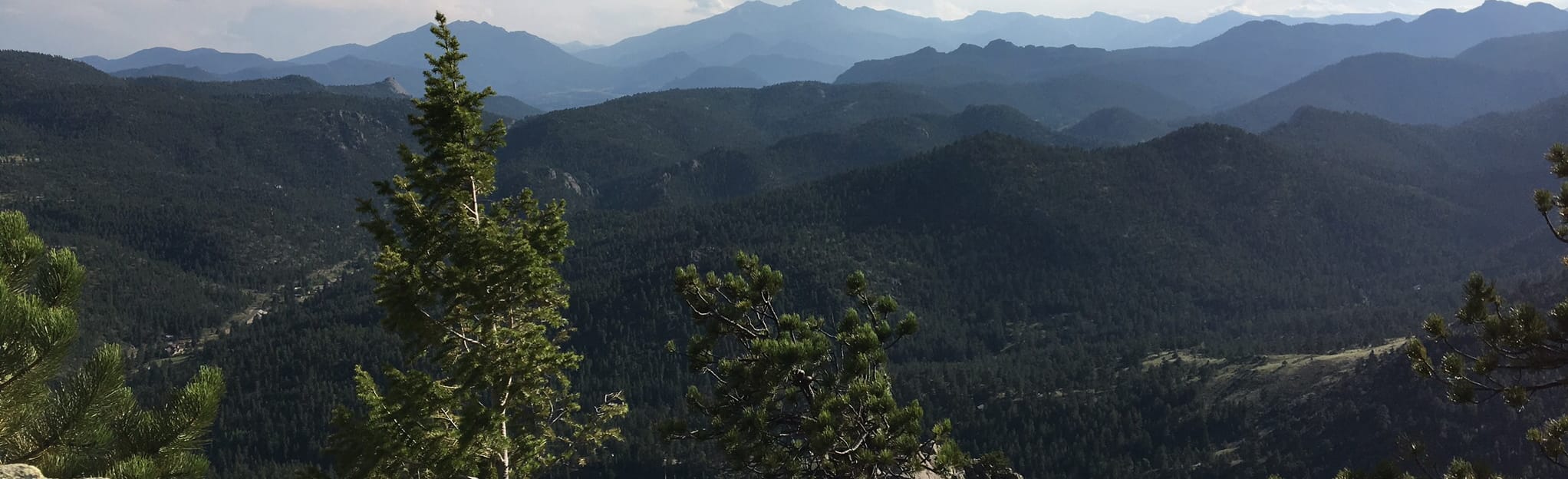 Triangle Mountain, Colorado - 244 Reviews, Map | AllTrails