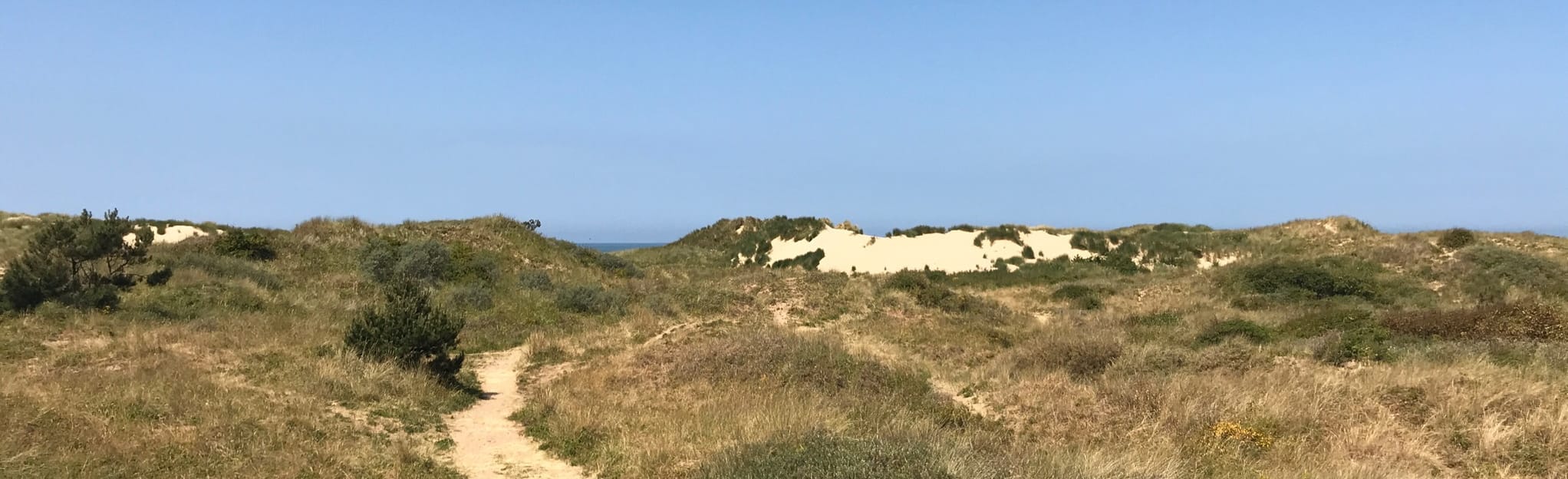 Sefton Coastal Path, Merseyside, England - 11 Reviews, Map | AllTrails