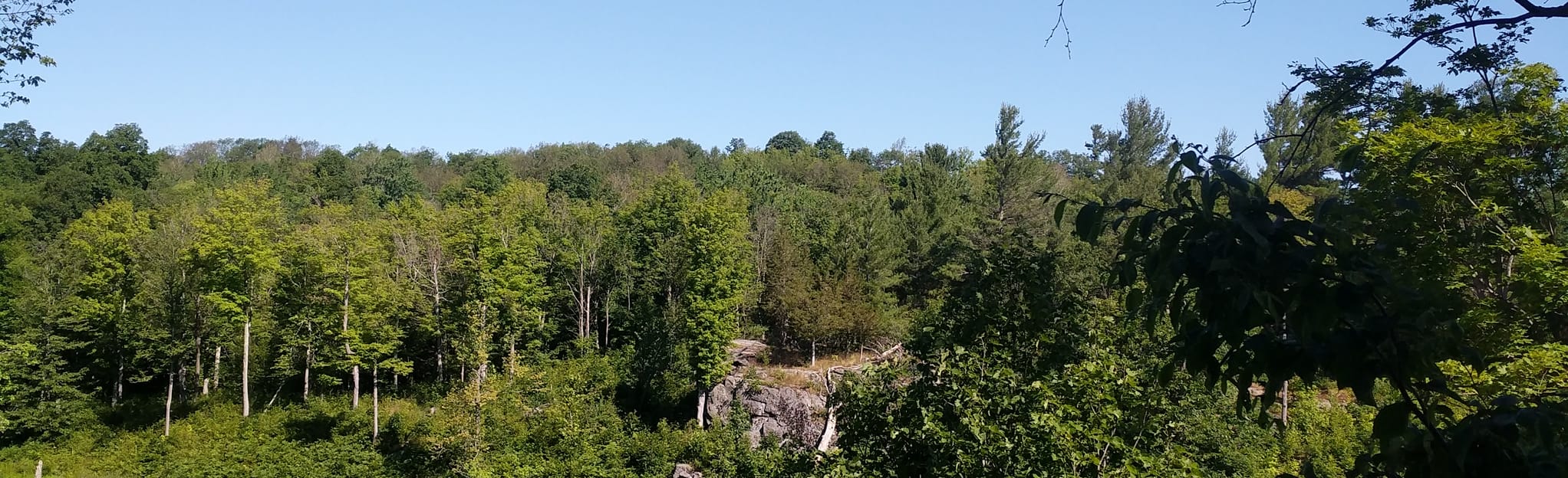 Butterfield and Eagle Marsh Trails Loop, New York - 115 Reviews, Map ...