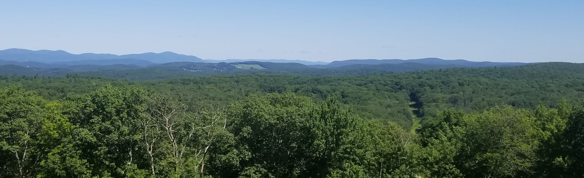 Cathedral Pines and Mohawk Mountain Trail | Map, Guide - Connecticut ...
