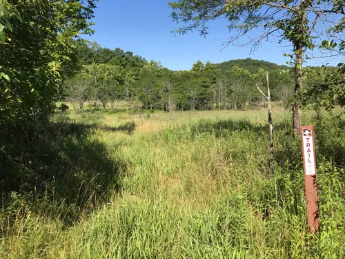 10 Best Horseback Riding Trails in Mark Twain National Forest | AllTrails