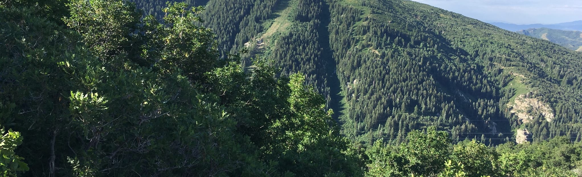North Holbrook Route Trail, Utah - 87 Reviews, Map | AllTrails