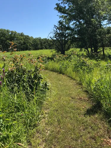 Best Short Trails in Troy | AllTrails