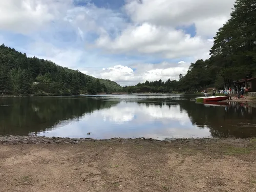 10 Best Wild Flowers Trails in El Chico National Park | AllTrails