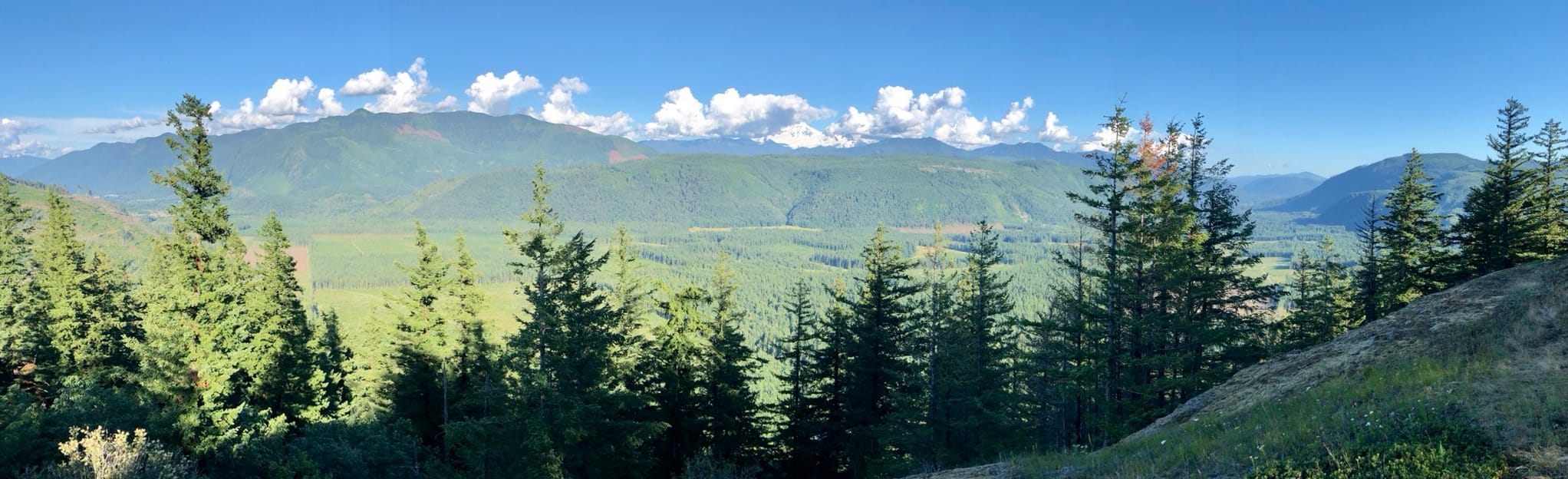 Vedder Mountain Trail, Washington - 86 Reviews, Map | AllTrails