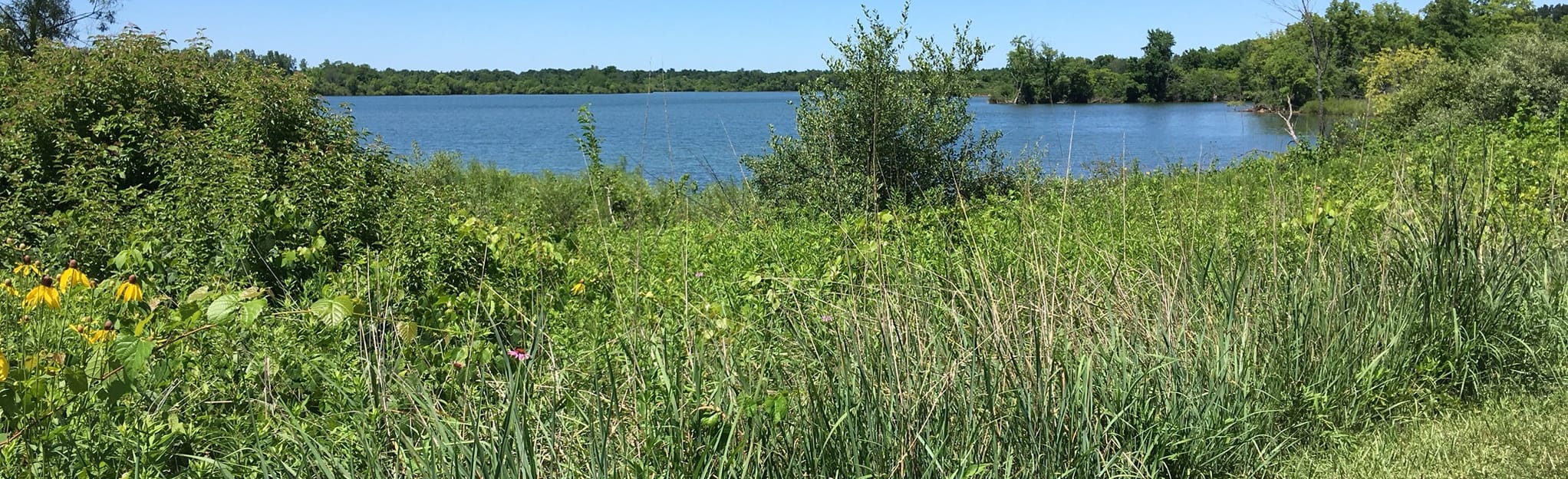 Mount Summit Trail, Indiana - 336 Reviews, Map | AllTrails