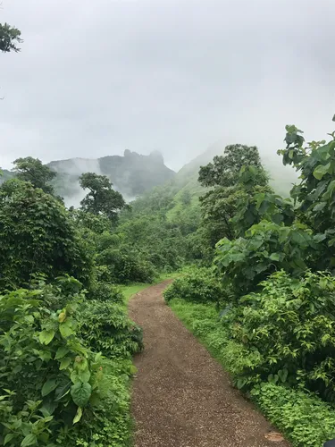 10 Best Trails and Hikes in Maharashtra | AllTrails