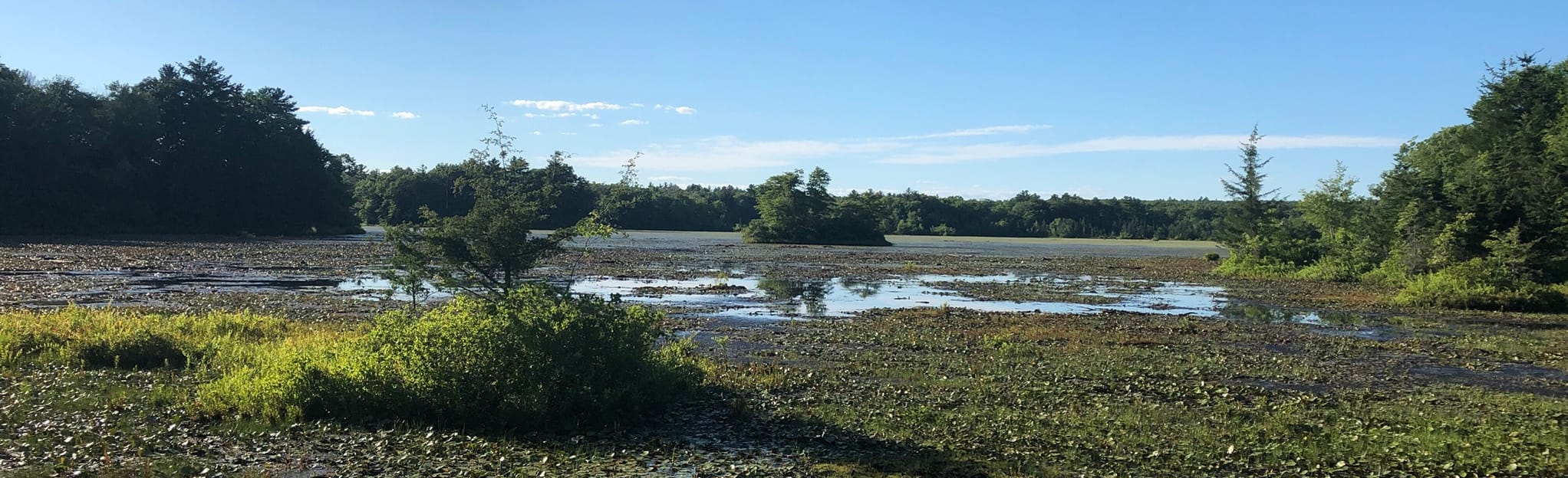 Borderland State Park Loop Trail - Massachusetts | AllTrails