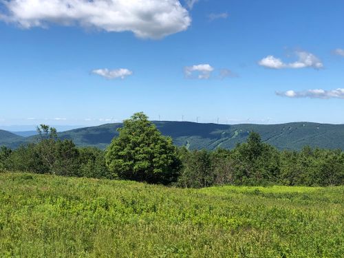 Best 10 Hikes and Trails in Mount Greylock State Reservation | AllTrails