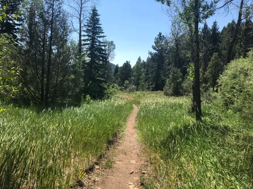 Best Hikes and Trails in Reynolds Ranch County Park | AllTrails